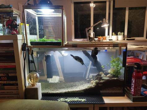 Arduino Powering Led Strips Question Rarduino