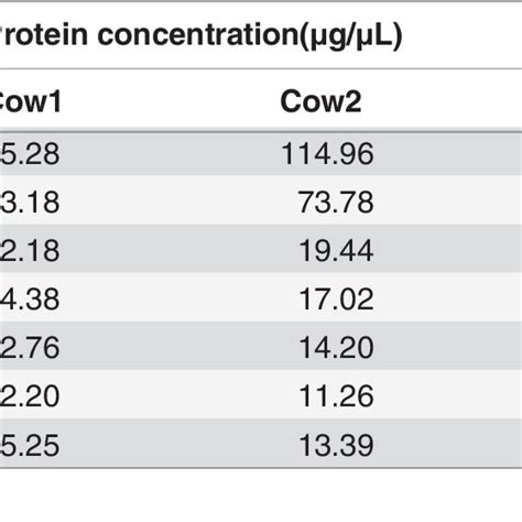 Protein Concentrations Determined By Bca Assay Download Table