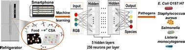 A Machine Learning Based Colorimetric Sensor Array For High Precision