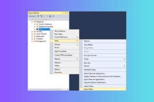 How To Open The SQL BAK Files In Excel