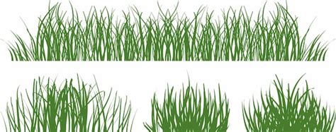 Premium Vector Green Grass Growing In The Garden