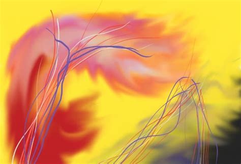 One Brain Two Visual Systems Bps