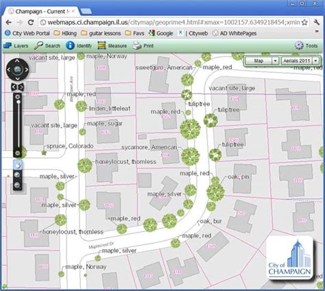 Gis Tree Inventory City Of Champaign