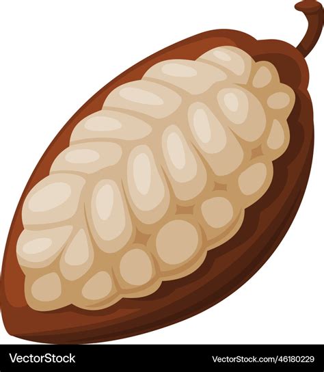 Chocolate Cocoa Bean Dessert Sweets Royalty Free Vector