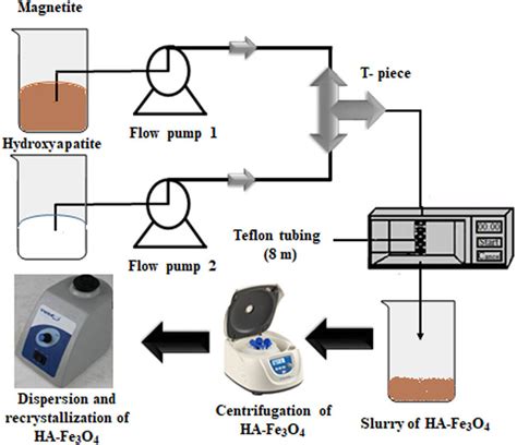schematic diagram for the preparation of ha fe3o4 download