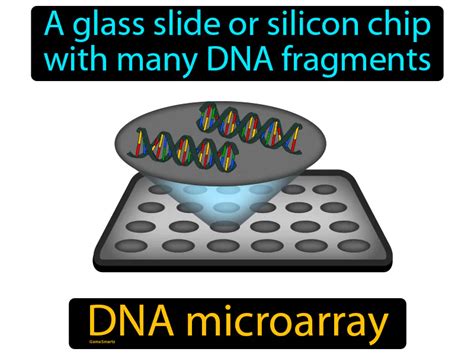 Dna Microarray Definition And Image Flippy
