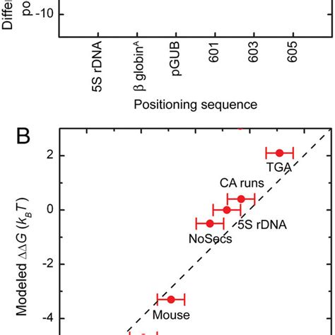 Binding Characteristics Of Various Nucleosome Positioning Elements Download Scientific Diagram