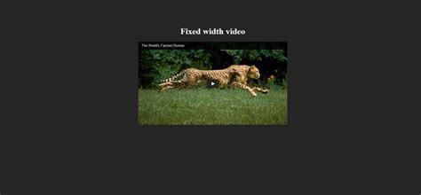 15 Best Jquery Youtube Plugins Code Geekz