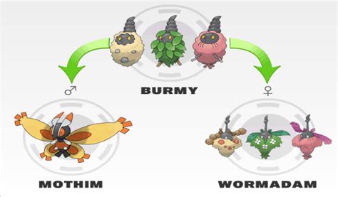 Drawing Pokemon 412 Burmy 413 Wormadam 414 Mothim 58 Off