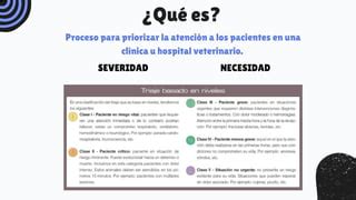 Triage En Veterinaria Pdf