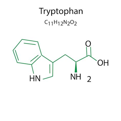 Premium Vector Flat Icon With Tryptophan Formula Vector Illustration