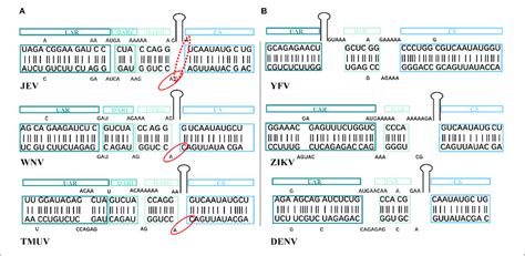 similarity and difference on complementary sequences of download