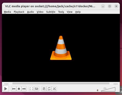 Run Gui Applications As Containers With X11docker The New Stack