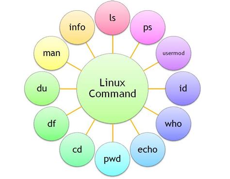 Open Source Operating System Basic Command And Linux Command In Linux