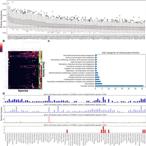 Gene Count Comparisons Based On Kegg Pathway Download Scientific