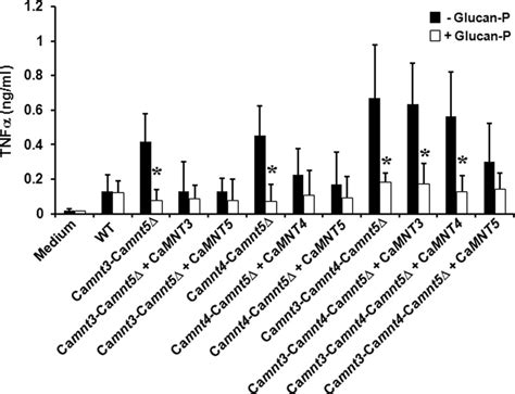 Cytokine Stimulation Upon Blocking Of Dectin 1 With Glucan P The