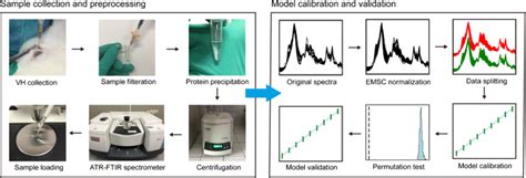 Attenuated Total Reflectance Fourier Transform Infrared 43 Off
