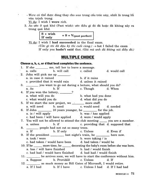 Conditional Wish Pdf