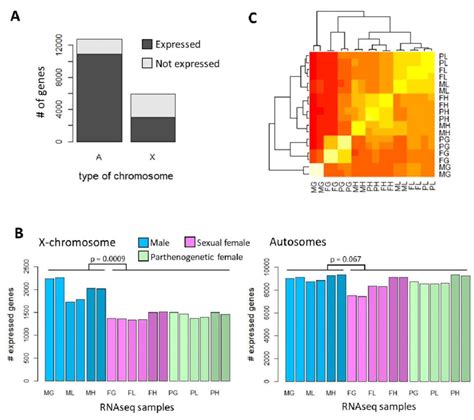 Gene Expression In The Different RNA Seq Samples A Number Of Genes