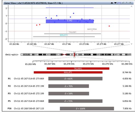 [pdf] Discovery Of Long Non Coding Rna Malat1 Amplification In