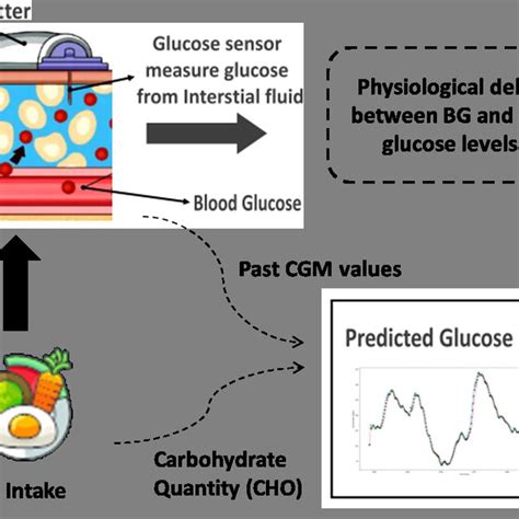 This Figure Shows Continuous Glucose Sensing From Isf With