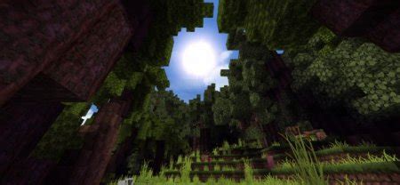 Haptic Shader Minecraft Shaders