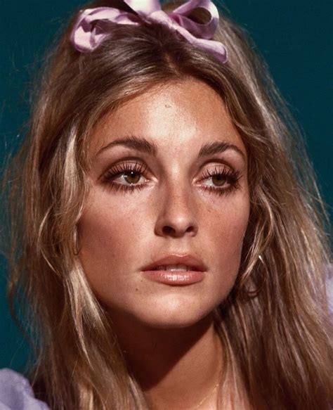 Sharon Tate Sharon Tate Makeup Sharon Tate Beauty Hot Sex Picture