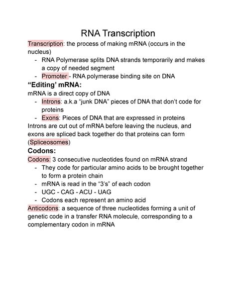 RNA Transcription Notes You Can Use If You Need Help Or Just Want Extra RNA Transcription