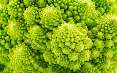 Nonlinear Systems Topic Complexity Labs