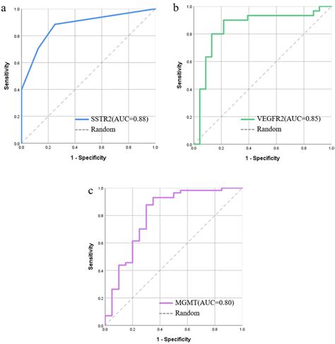 Roc Curves Of Multivariate Analysis In Sstr2 Vegfr2 And Mgmt Groups