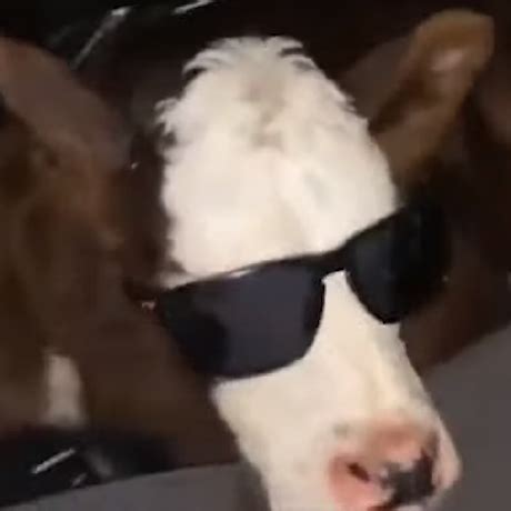 Pforbeck S Profile Hackaday Io