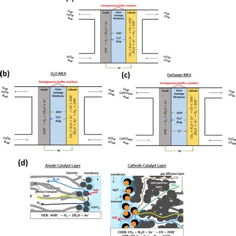 Polarization A Hydrogen Partial Current Density B And Carbon Download Scientific Diagram