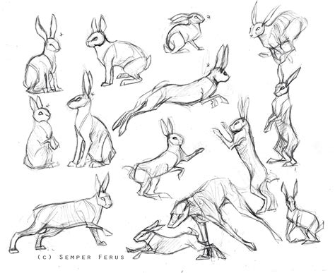 Hare Drawing Rabbit Drawing Rabbit Art Gesture Drawing Drawing
