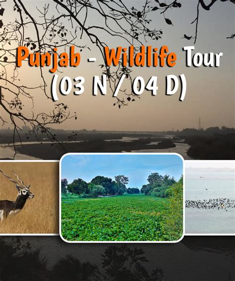 Punjab Wildlife Tour 03 Nights 04 Days [ex Amritsar]