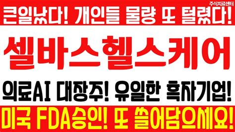 셀바스헬스케어 주가전망 긴급 속보 특급정보 큰일났다 개인들 물량 또 털렸다 의료ai 대장주 의료ai
