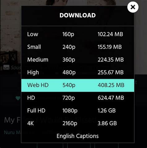 How To Cast From IPhone To Roku Adult Time Blog