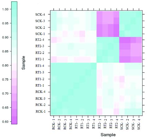 Heatmap Of Transcriptomic Data Correlation Between Different Download Scientific Diagram