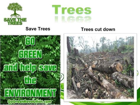 Pp Tx On The Environment Ppt Pp Tx On The Environment Ppt