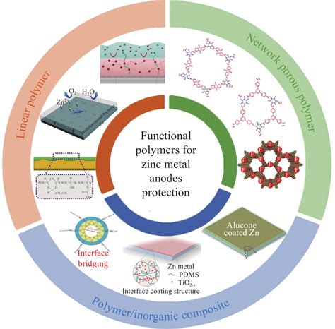 功能高分子材料在锌负极保护中的应用