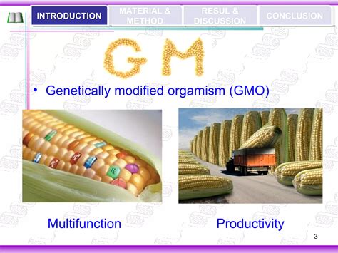 Nested Pcr Detecting Gmo PPT Chemistry Science