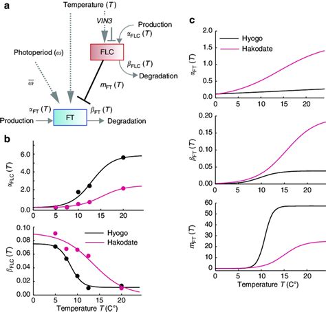 Model Illustration And Gene Specific Temperature Response Functions