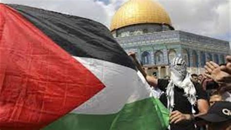 طوفان الأقصى مؤلفات رصدت تطورات القضية الفلسطينية