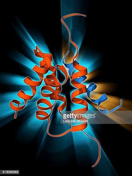 Subunit Photos And Premium High Res Pictures Getty Images