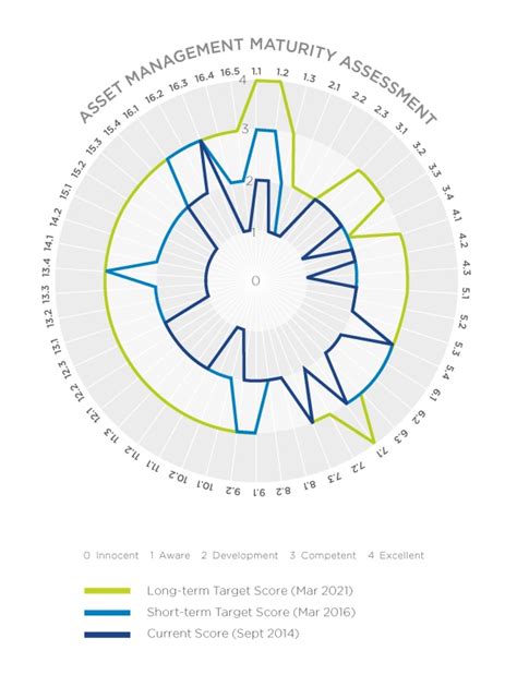 Maturity Assessment Tarmac Asset Management