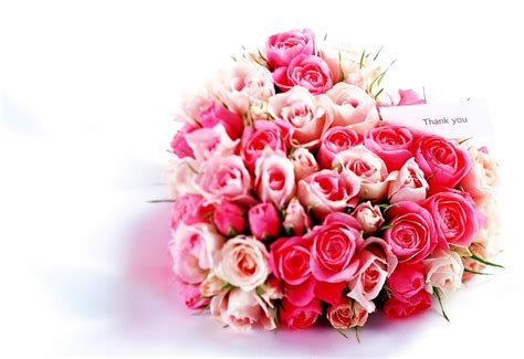 140 Букет шпалери на робочий стіл Hd Скачати Безкоштовно заставки