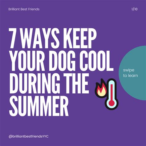 7 Ways To Keep Your Dog Cool Your Dog This Summer