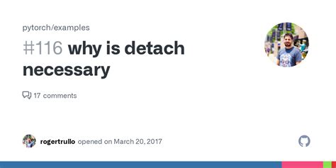 Why Is Detach Necessary Issue Pytorch Examples GitHub