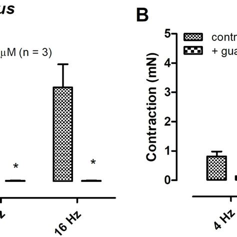 Effect Of Guanethidine 30 μm On Electrical Field Stimulation Induced