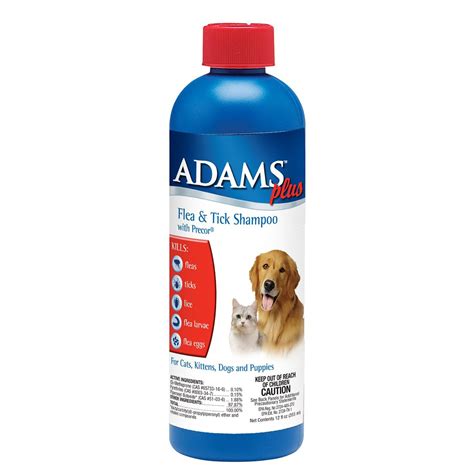 8 Best Flea Shampoos For Cats According To Reviews Bechewy