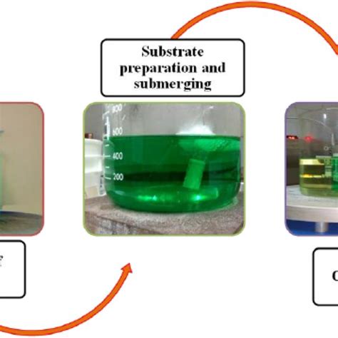 Steps Followed In The Electroless Coating Download Scientific Diagram